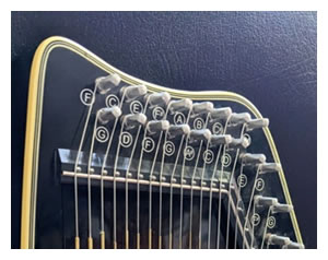 Frequently Asked Autoharp Questions